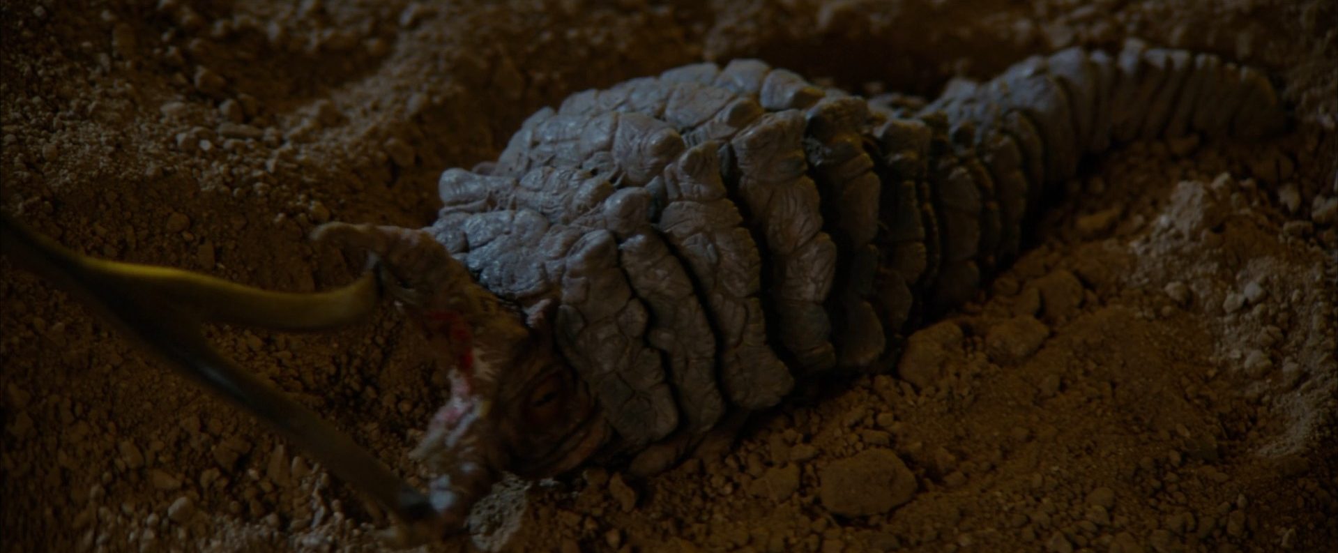 REVIEW - Star Trek: Khan - Episode 4 'Magical Thinking' – Trek Central